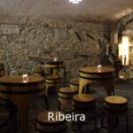 Porto: Live Fado Show with Glass of Port Wine - The Venues: Historic Settings for a Timeless Sound