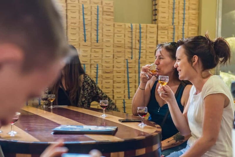 Porto: Magic Train Tour and Port Wine Cellar with Tastings - Discovering Porto through a Different Lens