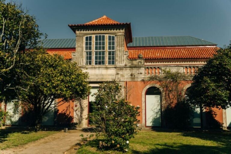 Porto: National Museum Soares dos Reis E-Ticket & City Tour - Collections and Artistic Highlights