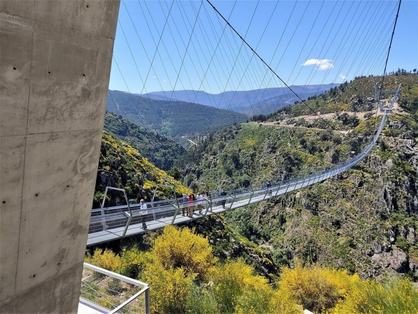 Porto: Paiva Walkways and Suspension Bridge Hike with Lunch - Authentic Experiences & Traveler Feedback
