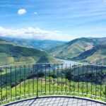 Porto: Private Douro Valley Day with Lunch - Visiting Wine Estates: A Tasting and Tour Experience