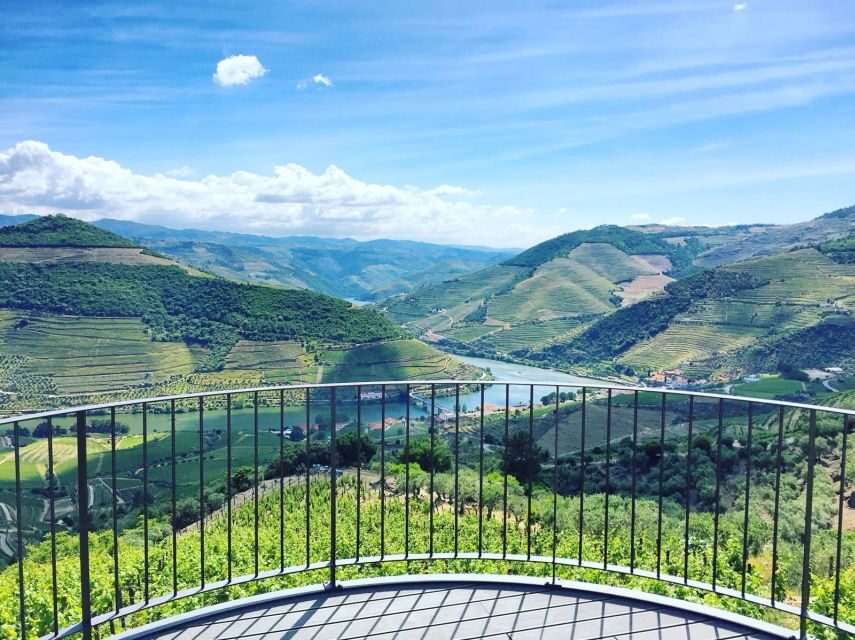 Porto: Private Douro Valley Day with Lunch - Visiting Wine Estates: A Tasting and Tour Experience