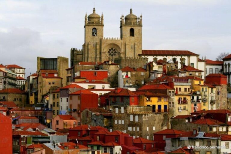 Porto: Private Full-Day City Tour - Authenticity and Experience: What Travelers Say
