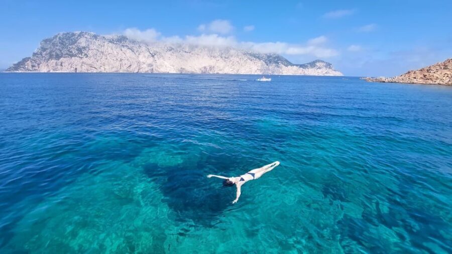Porto San Paolo: Day Tour to Tavolara and Molara fish-Lunch - Who Will Enjoy This Tour?