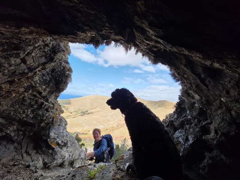 Porto Santo: Guided 2.5-hour Ana Ferreira Peaks & Caves Hike - Why This Tour Offers Great Value
