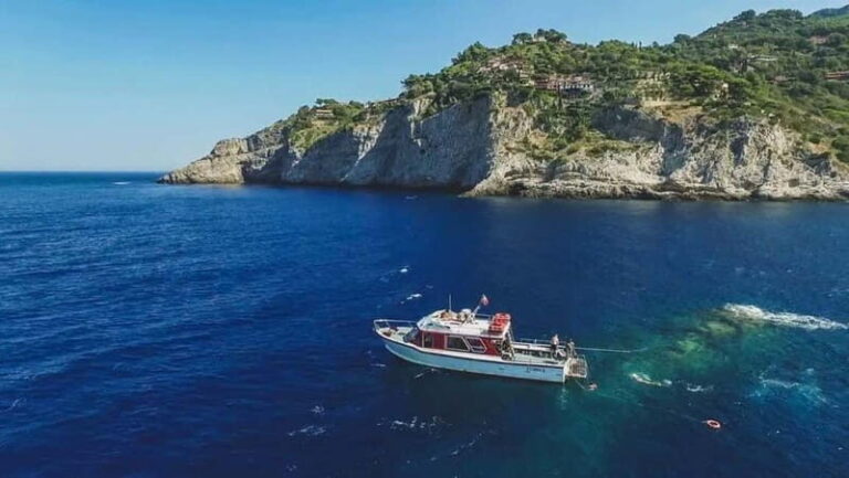 Porto Santo Stefano: Snorkeling Day Trip with Lunch - Why This Tour Is Worth Considering
