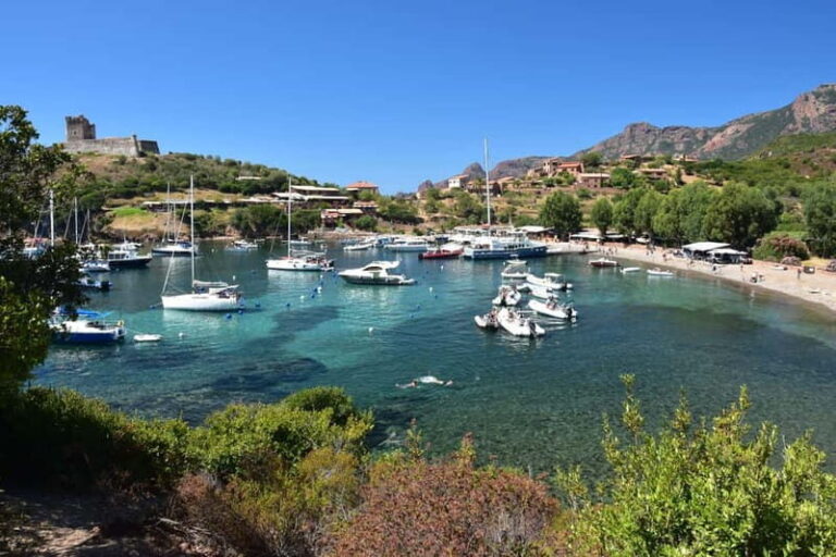 Porto: Scandola Nature Reserve and Creeks of Piana Boat Tour - Key Points