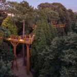 Porto: Serralves Park Entry Ticket - Why This Tour Is Worth Considering