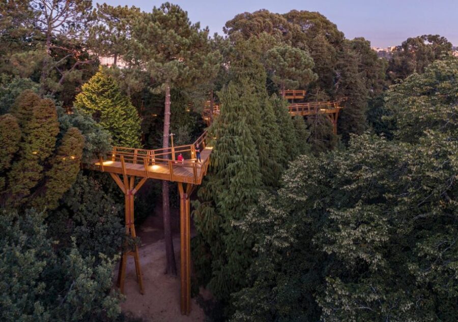 Porto: Serralves Park Entry Ticket - Why This Tour Is Worth Considering