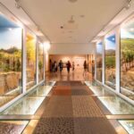 Porto: Taylors Port Cellar Tour & WOW Museum Pack - A Well-Rounded Cultural and Wine Experience