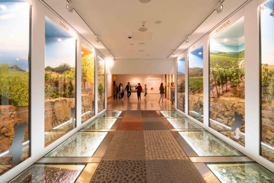 Porto: Taylors Port Cellar Tour & WOW Museum Pack - A Well-Rounded Cultural and Wine Experience