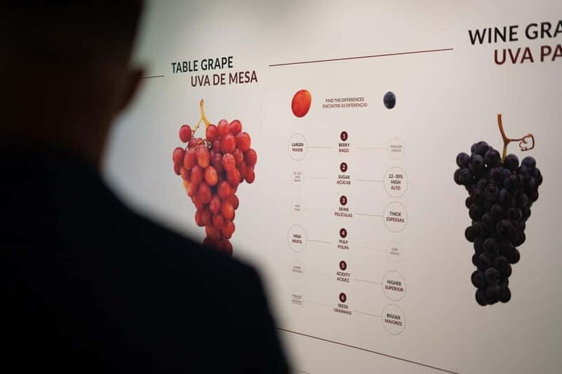Porto: Taylors Port Cellar Tour & WOW Wine Experience - What You Can Expect from the Tour