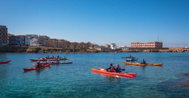 Porto Torres: Guided Kayaking Excursion - The Sum Up: Who Will Love This Tour?