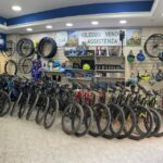 Porto Torres: rent your mountain bike to discover Asinara - Real-world insights from reviews