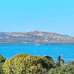 Porto Torres & Stintino: Romantic Experience Sail at Sunrise - What to Expect from This Unique Sardinian Sailing Experience