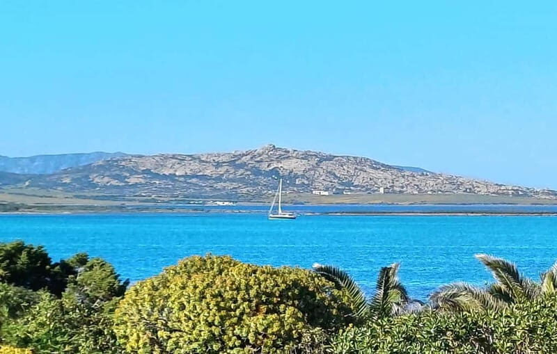 Porto Torres & Stintino: Romantic Experience Sail at Sunrise - What to Expect from This Unique Sardinian Sailing Experience
