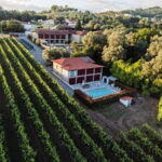 Porto Tour: Vinho Verde / Braga / Guimarães - Why This Tour Offers Great Value