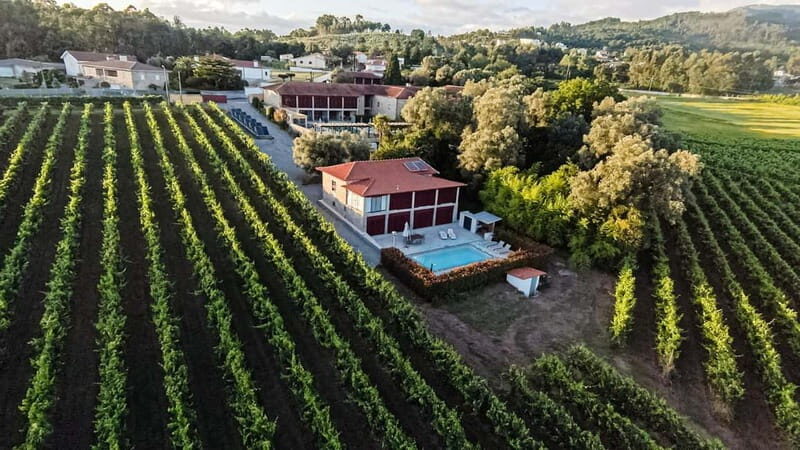 Porto Tour: Vinho Verde / Braga / Guimarães - Why This Tour Offers Great Value