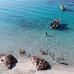 Porto-Vecchio: beginner diving in the Cerbicale Islands in the reserve - The Itinerary in Detail