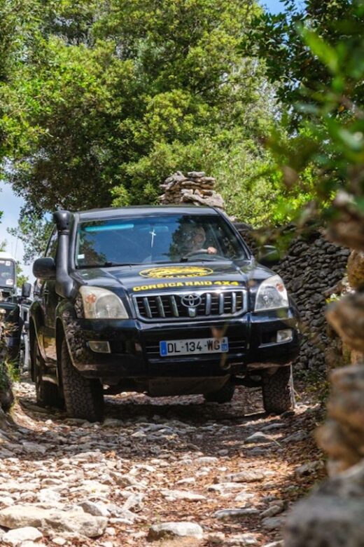 Porto Vecchio: Cuscionu Plateau & Alta Rocca 4x4 Tour - A Detailed Breakdown of the Itinerary