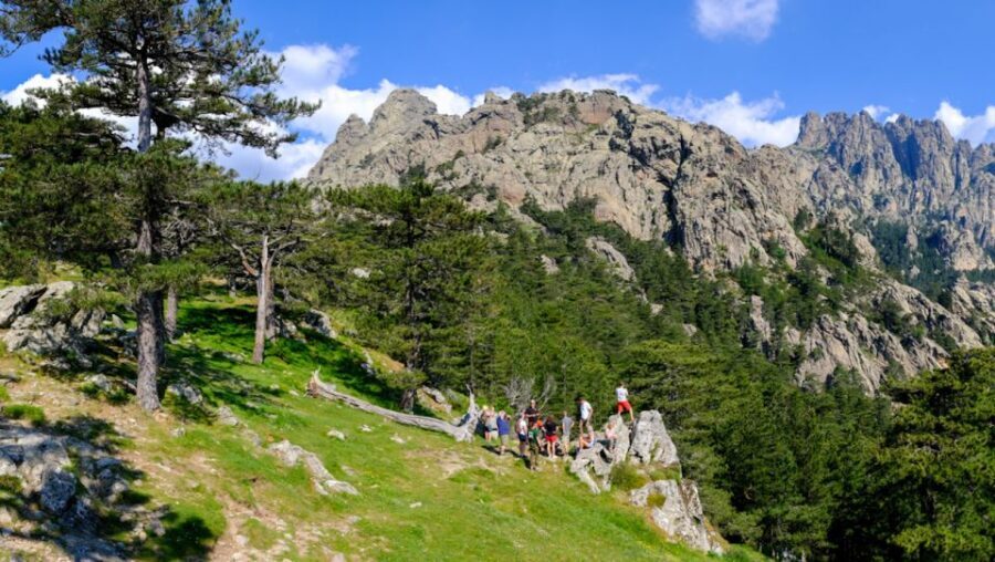Porto Vecchio: Ospedale Forest & Bavella Needles 4x4 Tour - Village Exploration