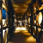Porto: Wine Tastings (Green Wine) & Tradicional Lunch - Detailed Breakdown of the Itinerary