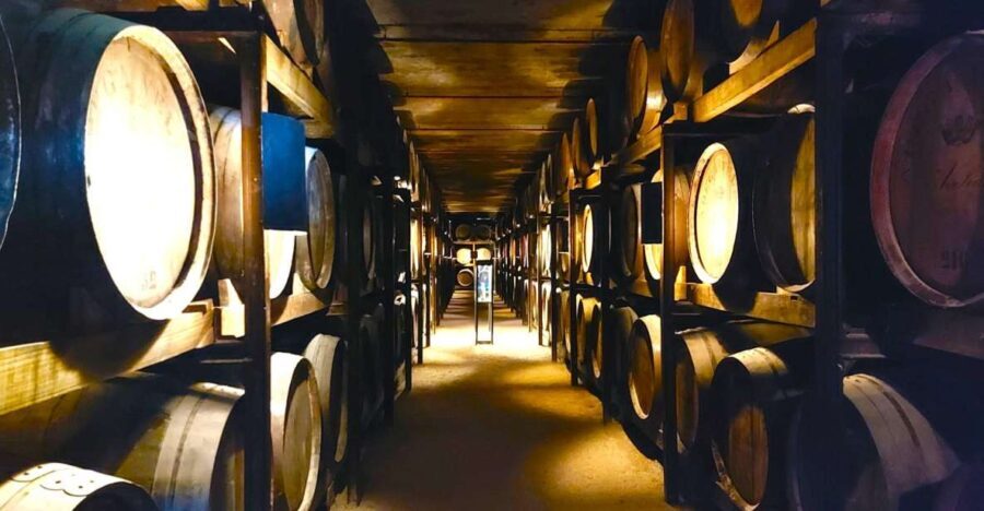 Porto: Wine Tastings (Green Wine) & Tradicional Lunch - Detailed Breakdown of the Itinerary