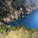Portofino Park: Hiking Guided Tour to S. Fruttuoso - Practical Details and Value