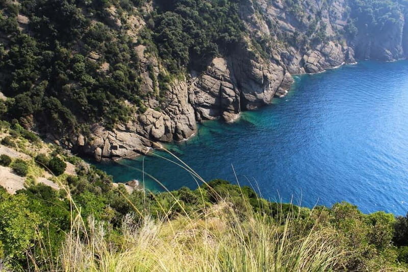 Portofino Park: Hiking Guided Tour to S. Fruttuoso - Practical Details and Value