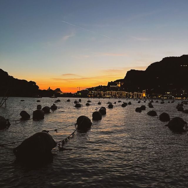Portovenere: Palmaria Island & Lord Byron Cave Sunset Cruise - What Makes This Tour Stand Out
