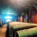 Portuguese Tiles and Wine History - Private Tour - Thorough Breakdown of the Itinerary