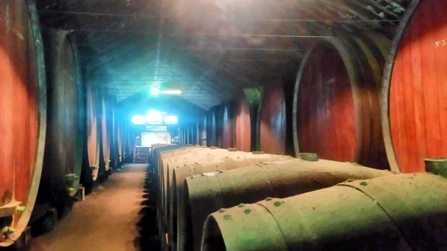 Portuguese Tiles and Wine History - Private Tour - Thorough Breakdown of the Itinerary