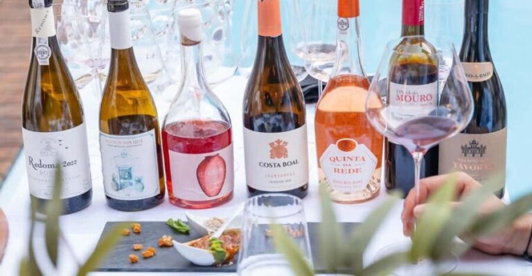 PORTUGUESE WINE TASTING IN THE HEART OF FARO - The Sum Up: Who Will Love This Tour?