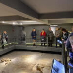 Pozna: Cathedral Island and ródka District Guided Tour - The Practical Side: Details and Value