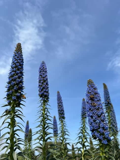 Pozzo Faceto: botanical garden - Breaking Down the Experience