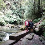 PR18 Levada do Rei with Local Guide - Practical Tips for the Tour