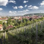 Prague: 3Hour Castle Grounds Walking Tour and River Cruise - Final Thoughts: Who Should Consider This Tour?