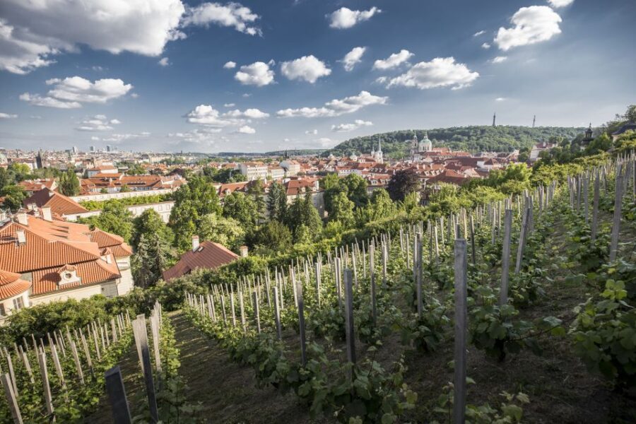 Prague: 3Hour Castle Grounds Walking Tour and River Cruise - Final Thoughts: Who Should Consider This Tour?