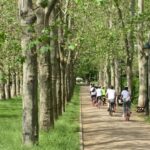 Prague "ALL-IN-ONE" - big tour - What Travelers Can Expect at Each Stop