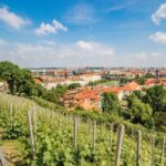Prague Castle 2.5-Hour Tour Including Admission Ticket - The Real Value of This Tour