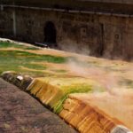 Prague: Karlovy Vary Tour with Lunch and Moser Museum Visit - Authentic Experiences and Traveler Insights