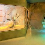 Prague: Prague Zoo Audio Guide with E-Ticket - Breaking Down the Tour Experience