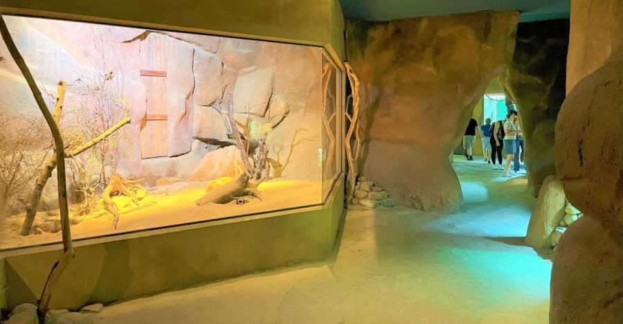 Prague: Prague Zoo Audio Guide with E-Ticket - Breaking Down the Tour Experience