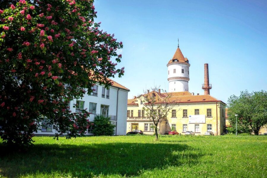Prague: Psychiatric Hospital and Abandoned Cemetery Tour - Who Should Consider This Tour?