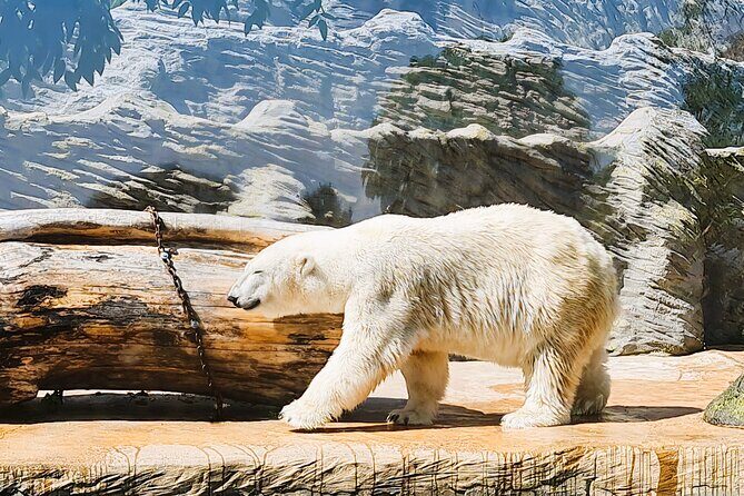Prague Zoo Admission Ticket with Transfer and Audio Guide - The Scenic Walk and Surroundings