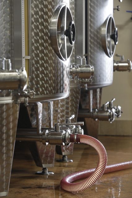 Pramaggiore: Ornella Bellia Winery Guided Tour & Tasting - Insights from Visitors: What Travelers Are Saying