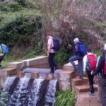 Prazeres: Full-Day Nature Walk - Who Should Consider This Tour?