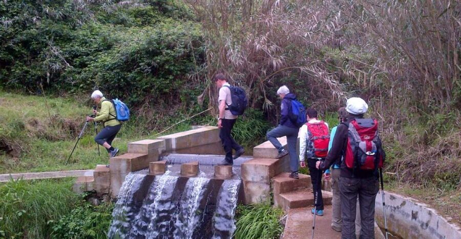 Prazeres: Full-Day Nature Walk - Who Should Consider This Tour?