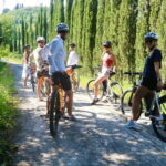Premium Chianti E-Bike Tour, Food Wine Tasting + Photo shoot - An In-Depth Look at the Experience
