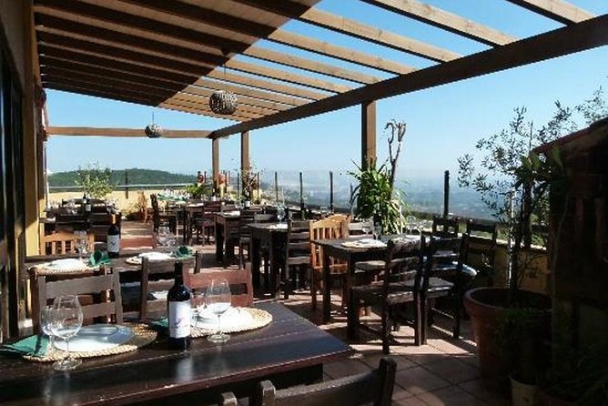 Premium gastronomic mountain tour: Wine, olive oil, spirits, food - Key Points